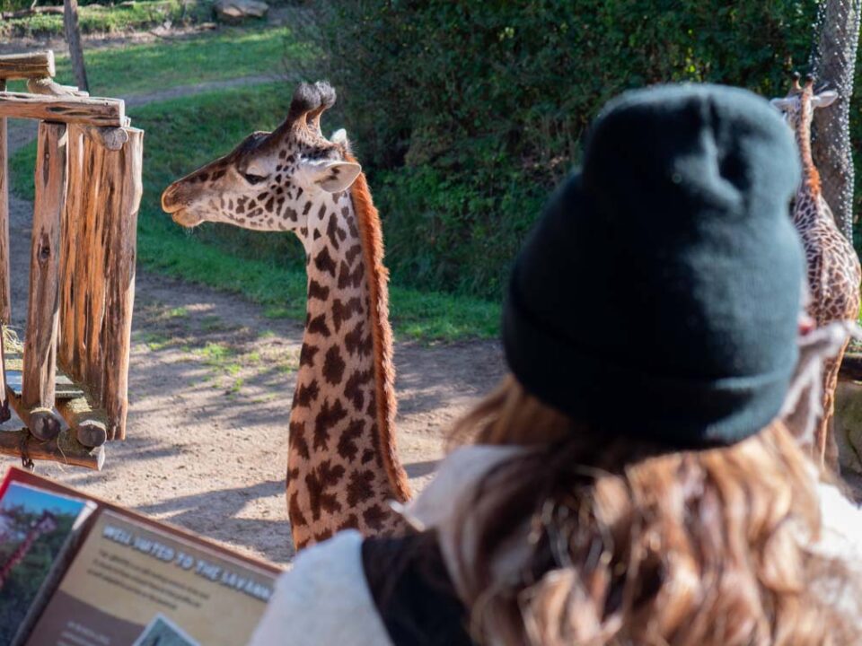 The Cincinnati Zoo & Botanical Garden (Meet Fiona and more!) - Travel ...