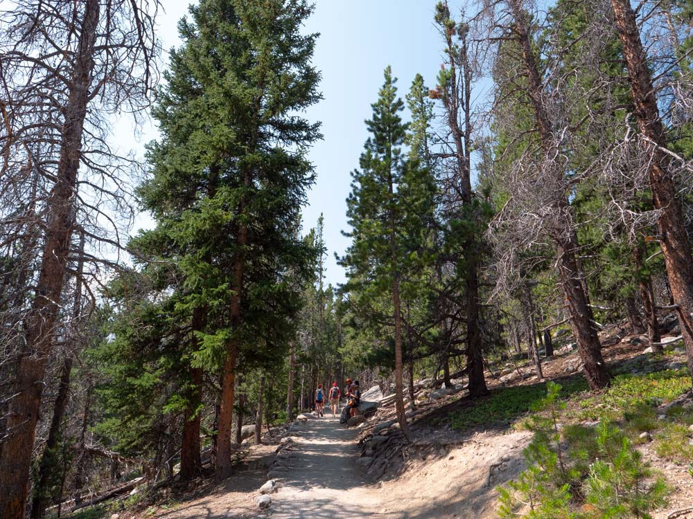 Hiking to Nymph Lake Colorado Rocky Mountain National Park - Travel ...