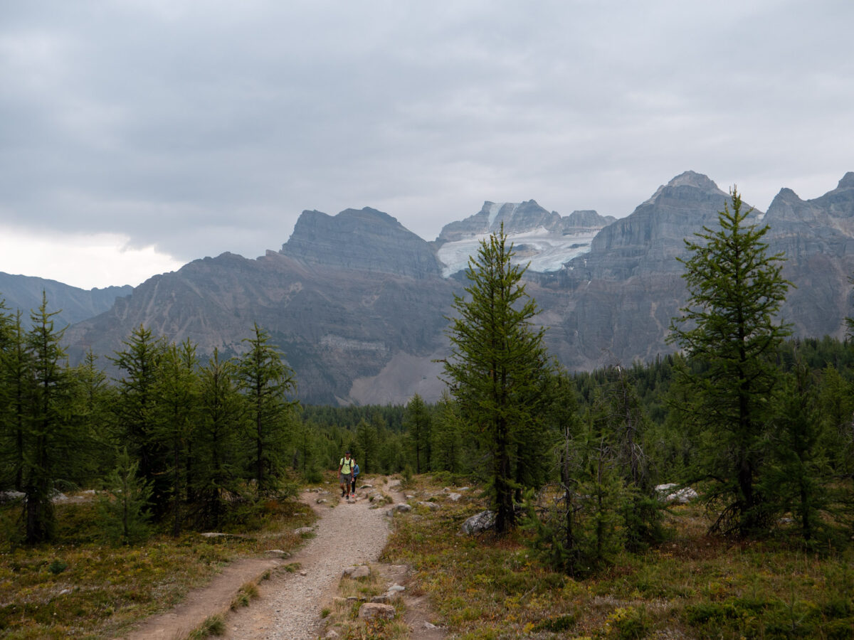 Discover The Larch Valley Hike to Sentinel Pass (Banff Canada) - Travel ...