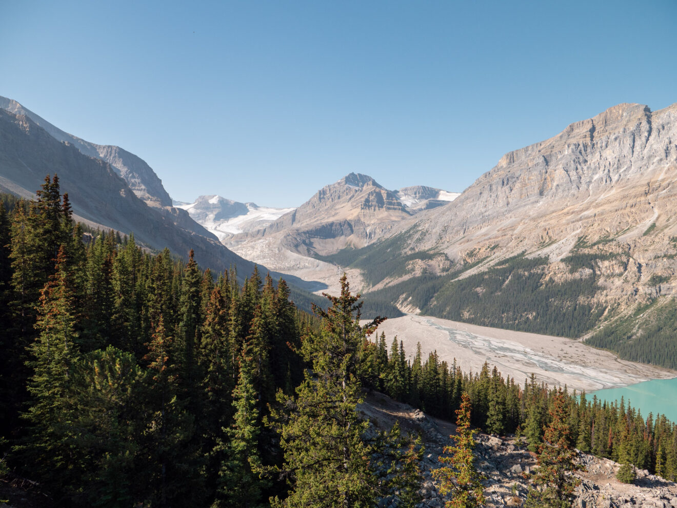 Peyto Lake Upper Viewpoint (The Best View in Alberta Canada) - Travel ...