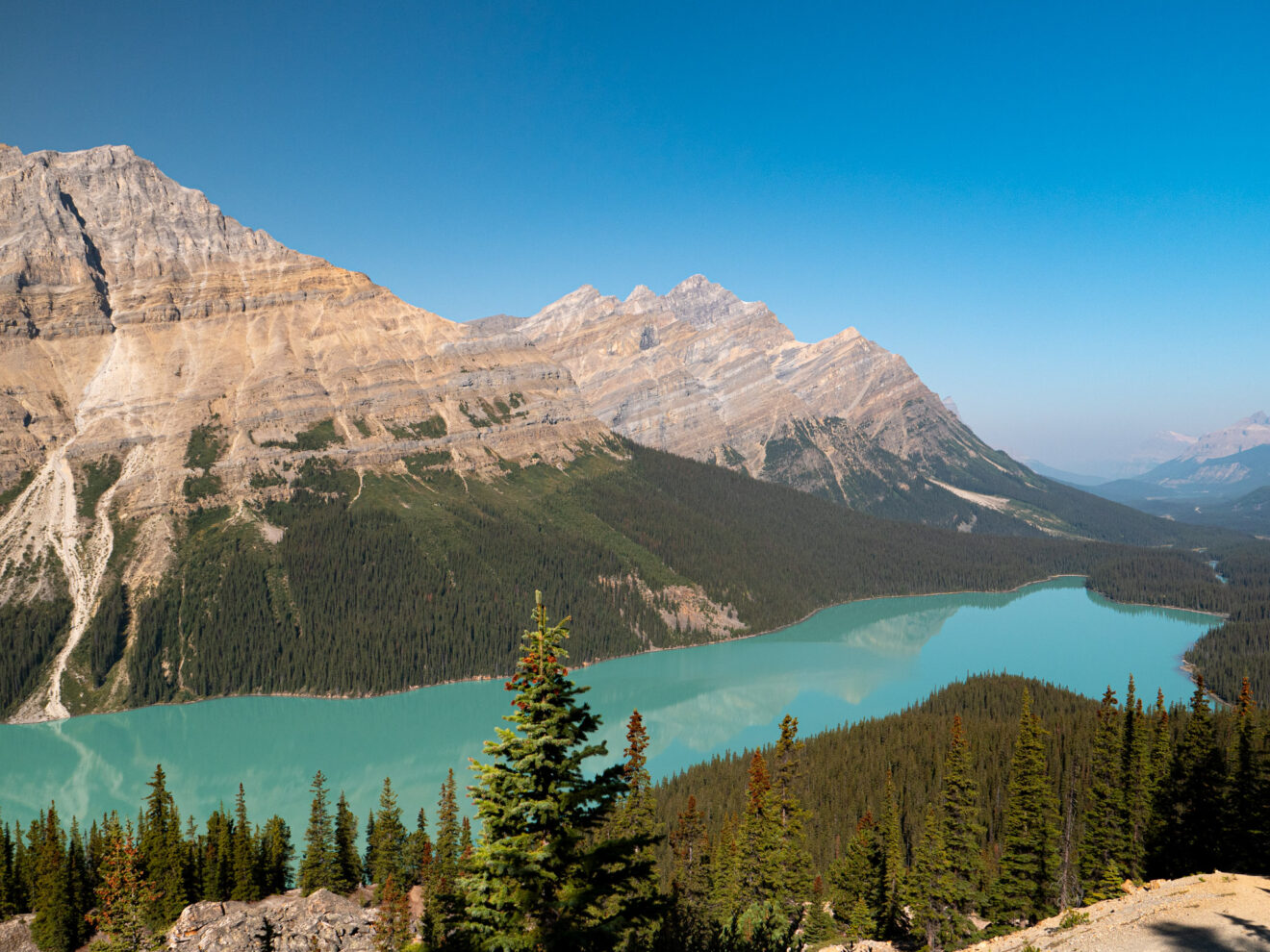 Peyto Lake Upper Viewpoint (The Best View in Alberta Canada) - Travel ...