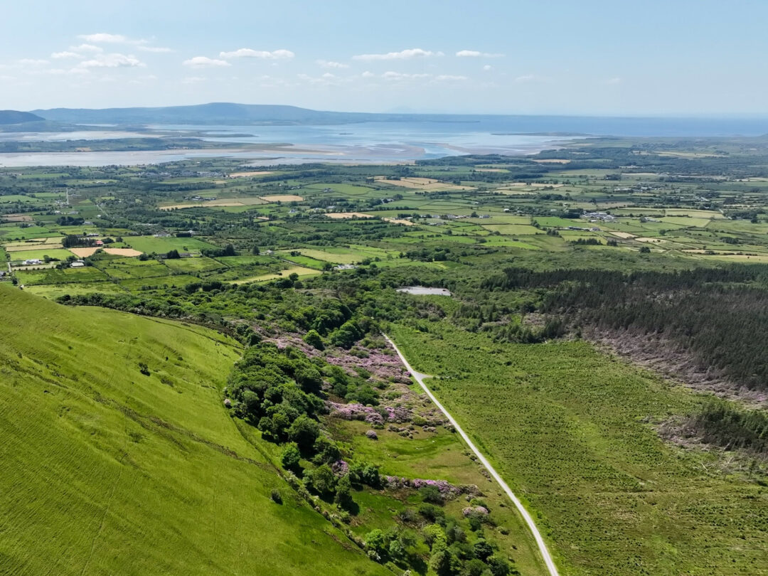 The Mount Benbulben Forest Walk Ireland - Travel With Wes