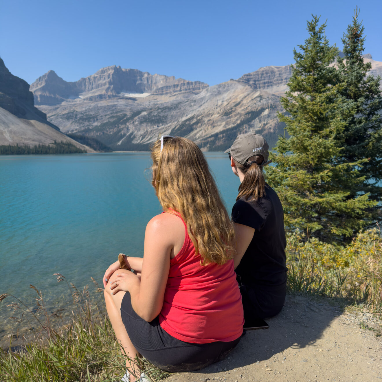 Discover Bow Lake Viewpoint in Alberta (And Nearby Crowfoot Glacier ...