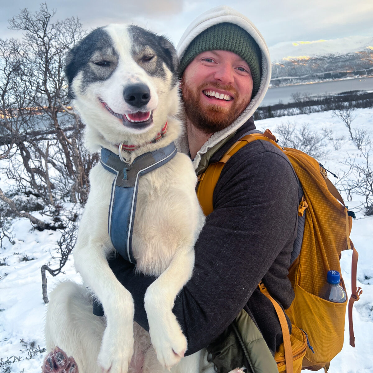 Enjoy a Husky Hike in Tromso Norway - Travel with Wes
