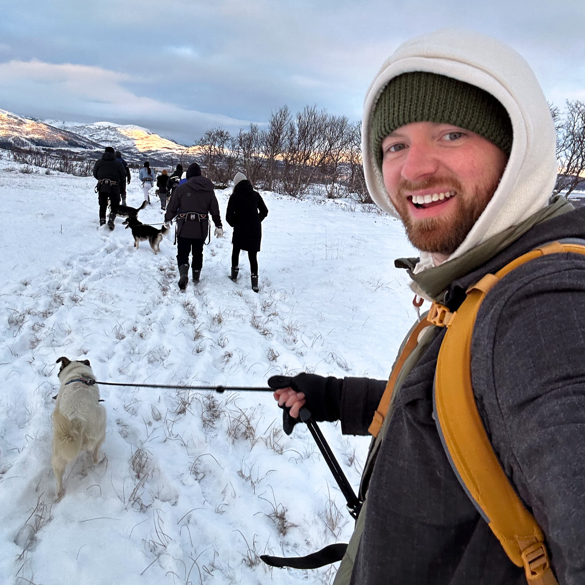 Enjoy a Husky Hike in Tromso Norway - Travel with Wes