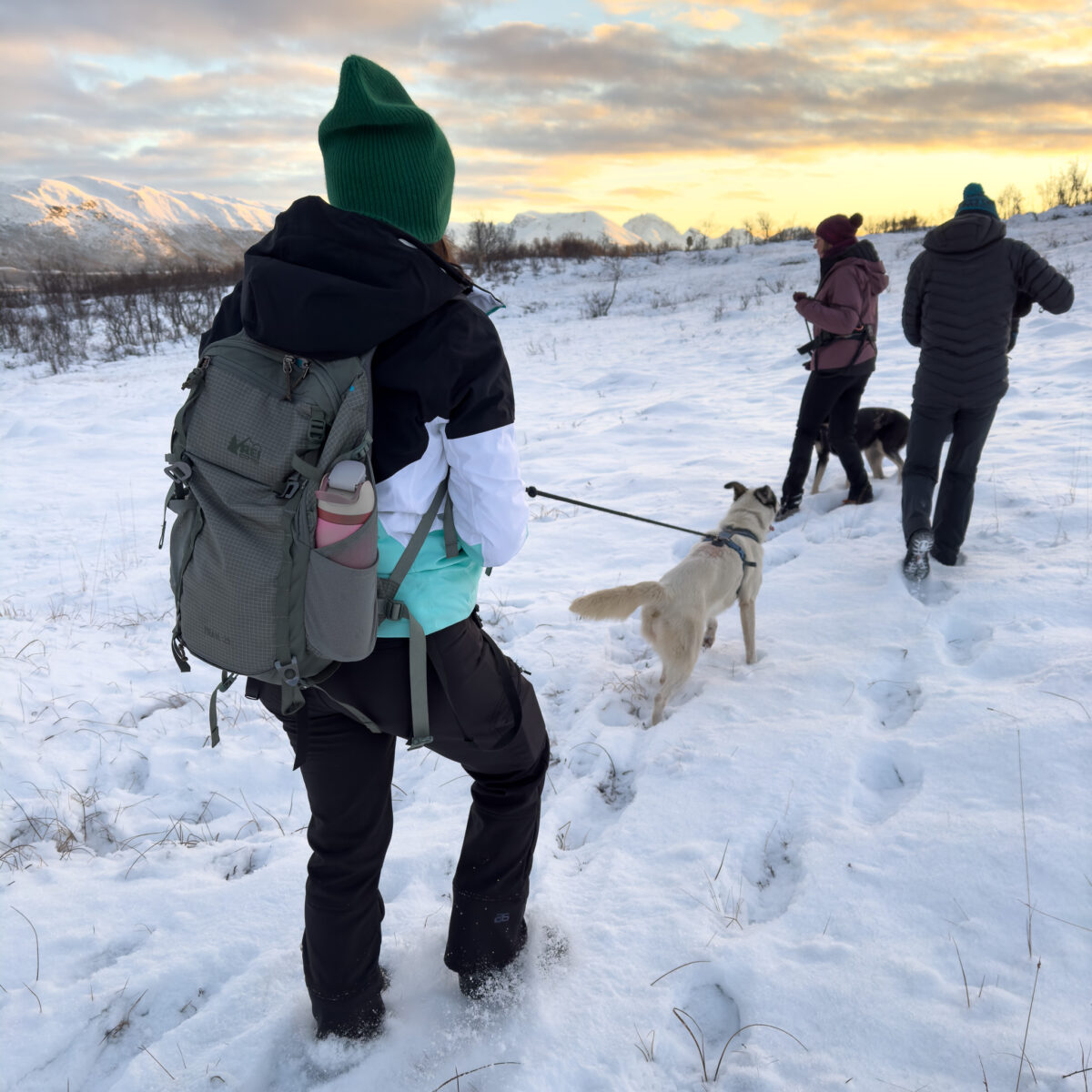 Enjoy a Husky Hike in Tromso Norway - Travel with Wes