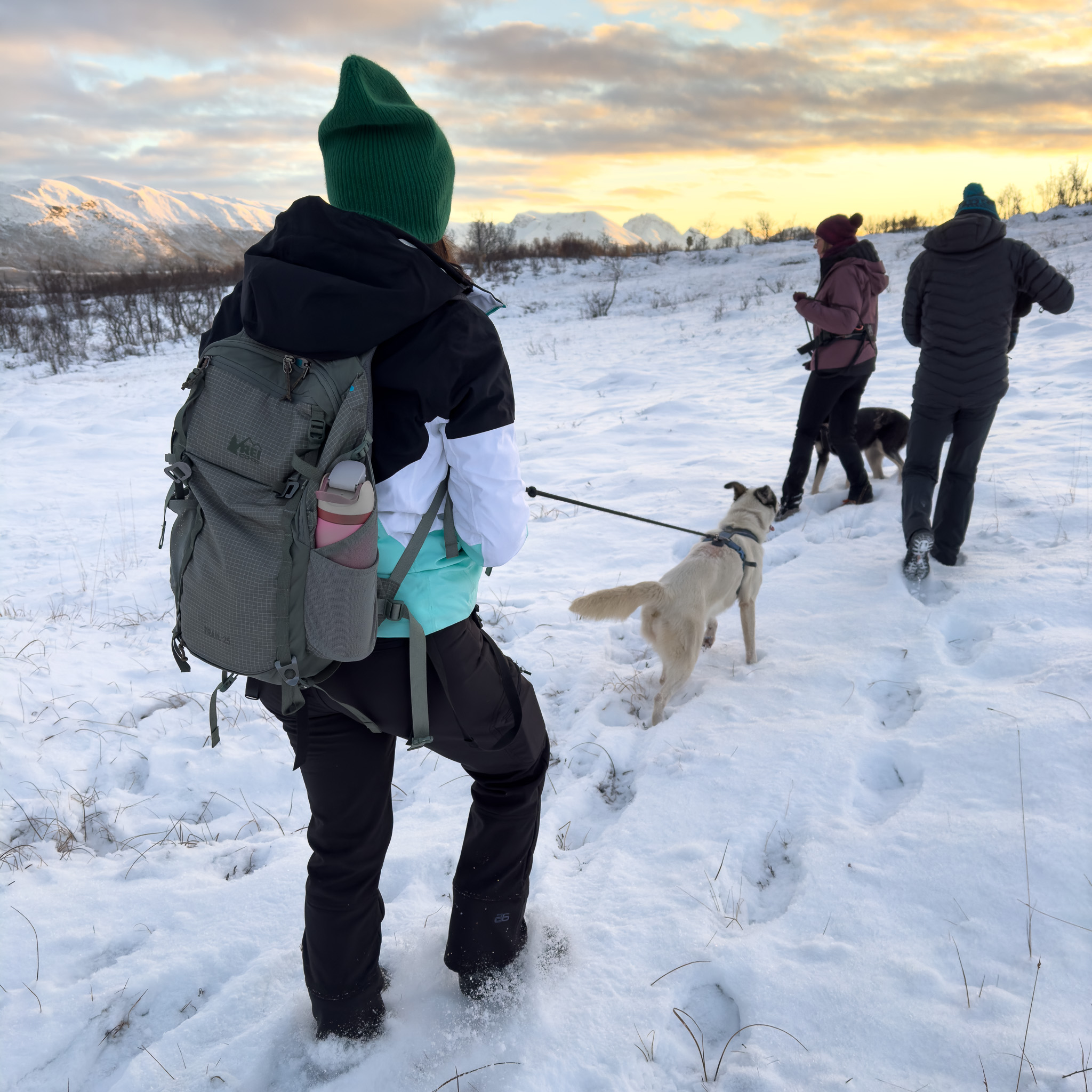 Enjoy a Husky Hike in Tromso Norway - Travel with Wes