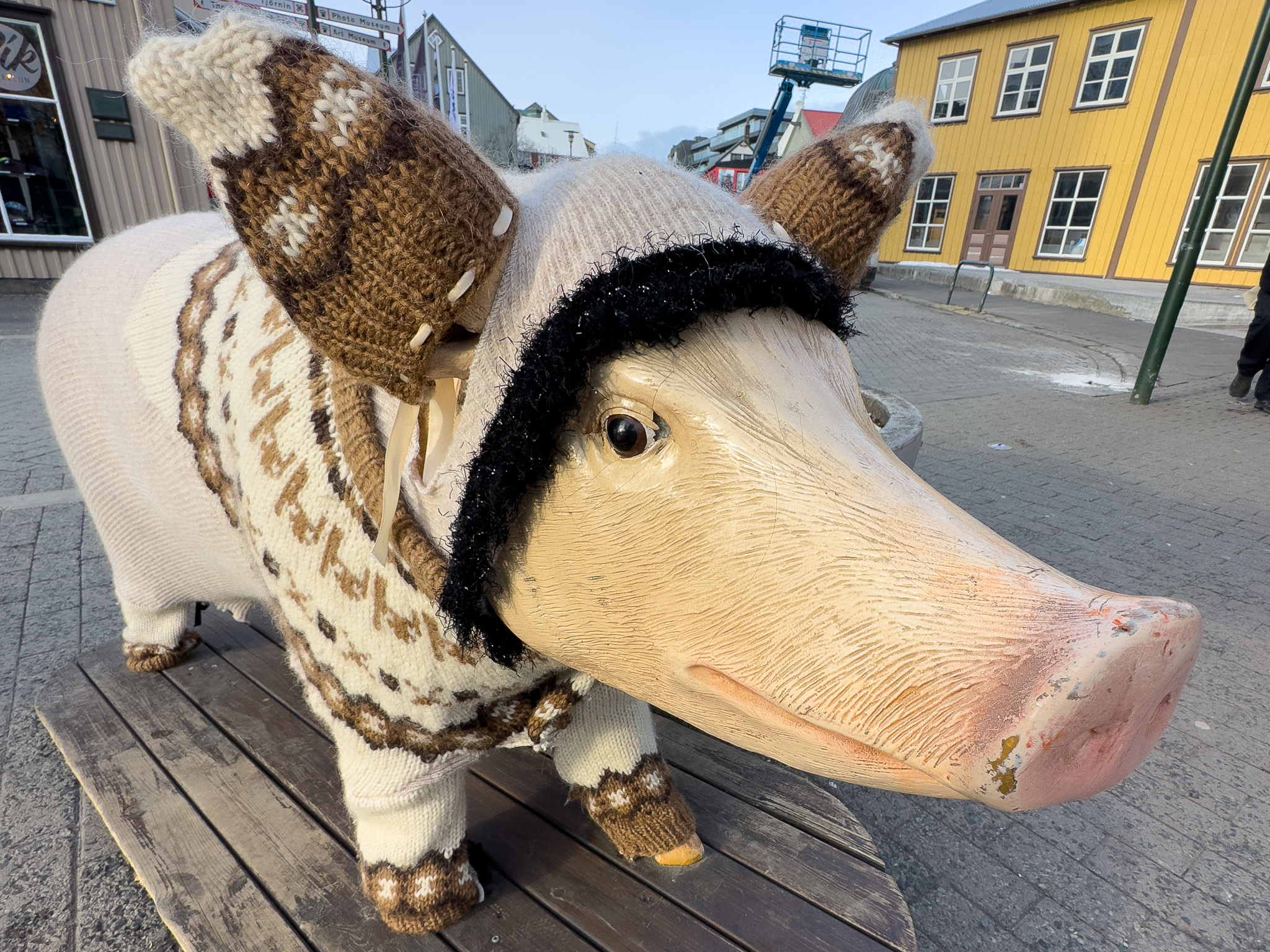 The Best Reykjavik Food Tour (Try Traditional Icelandic Meals) - Travel ...